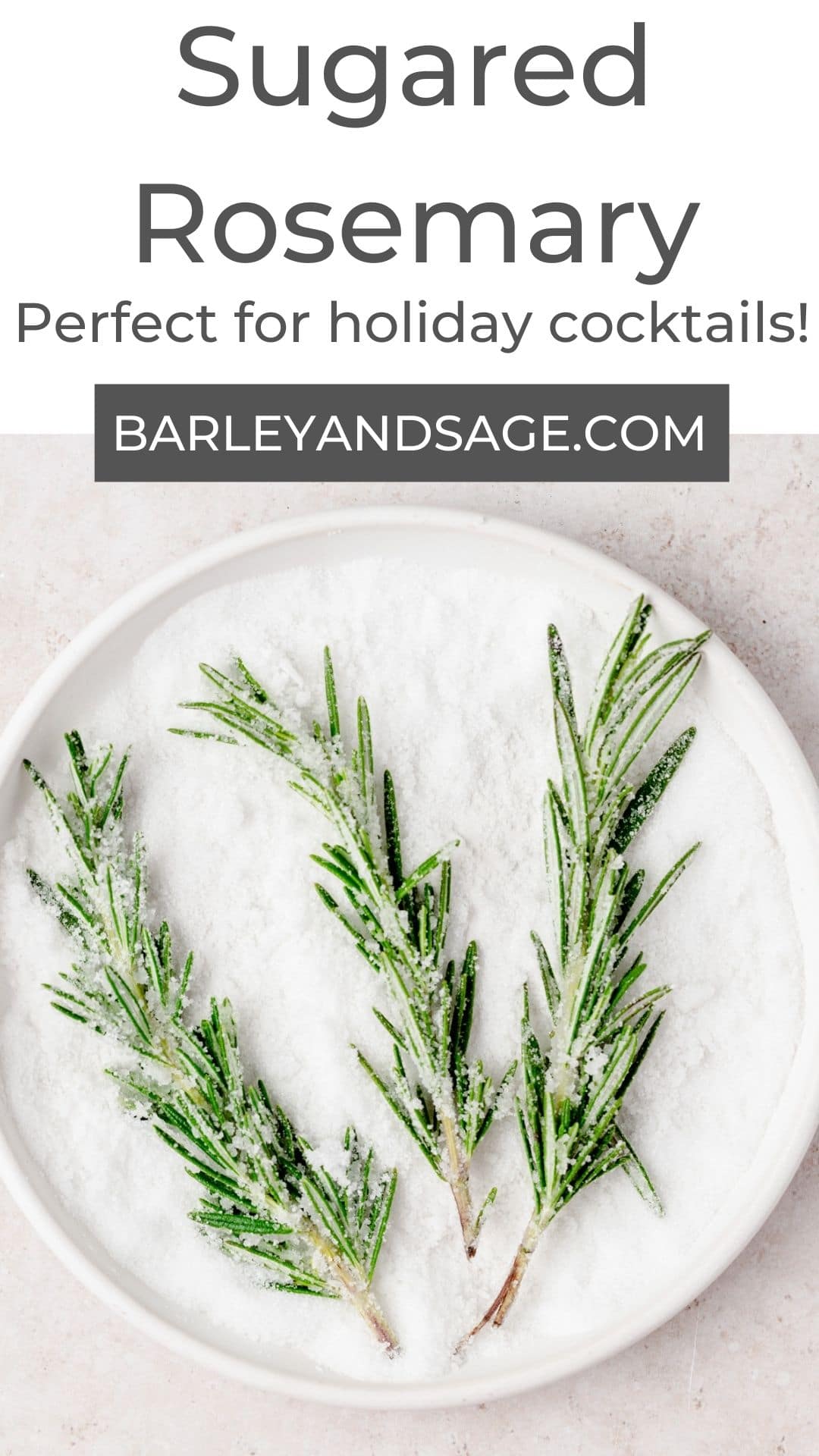 How to Make Sugared Rosemary (& other herbs) ~ Barley & Sage
