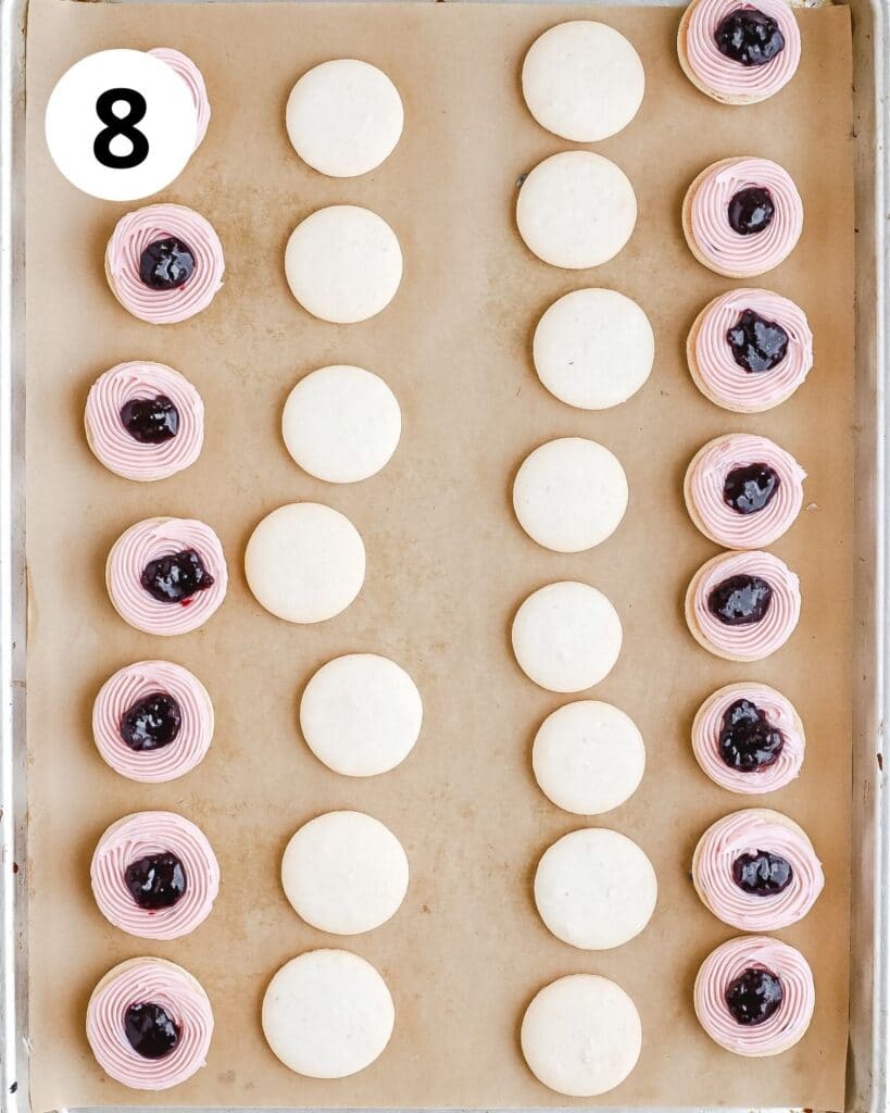 Blackberry Lavender Macarons Recipe ~ Barley & Sage