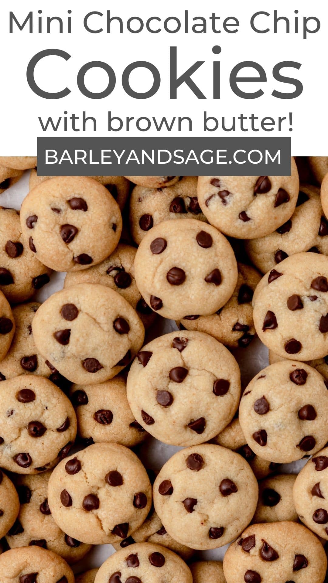 Mini Brown Butter Chocolate Chip Cookies (Bite-Sized!) ~ Barley & Sage