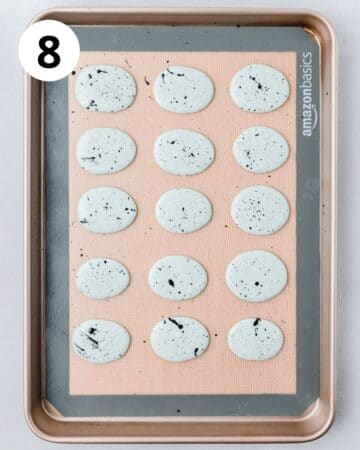 Robin's Egg Macarons with Chocolate Buttercream ~ Barley & Sage