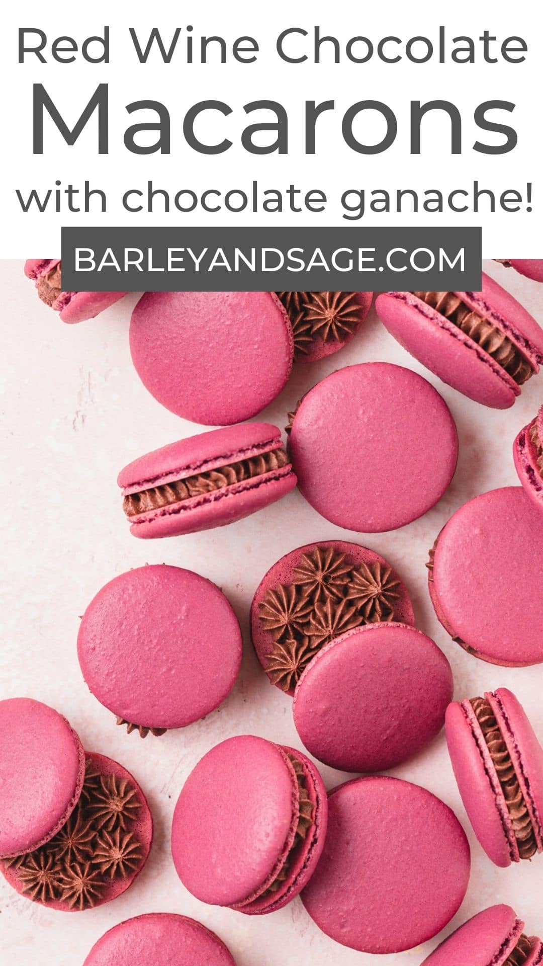 Red Wine Chocolate Macarons ~ Barley & Sage