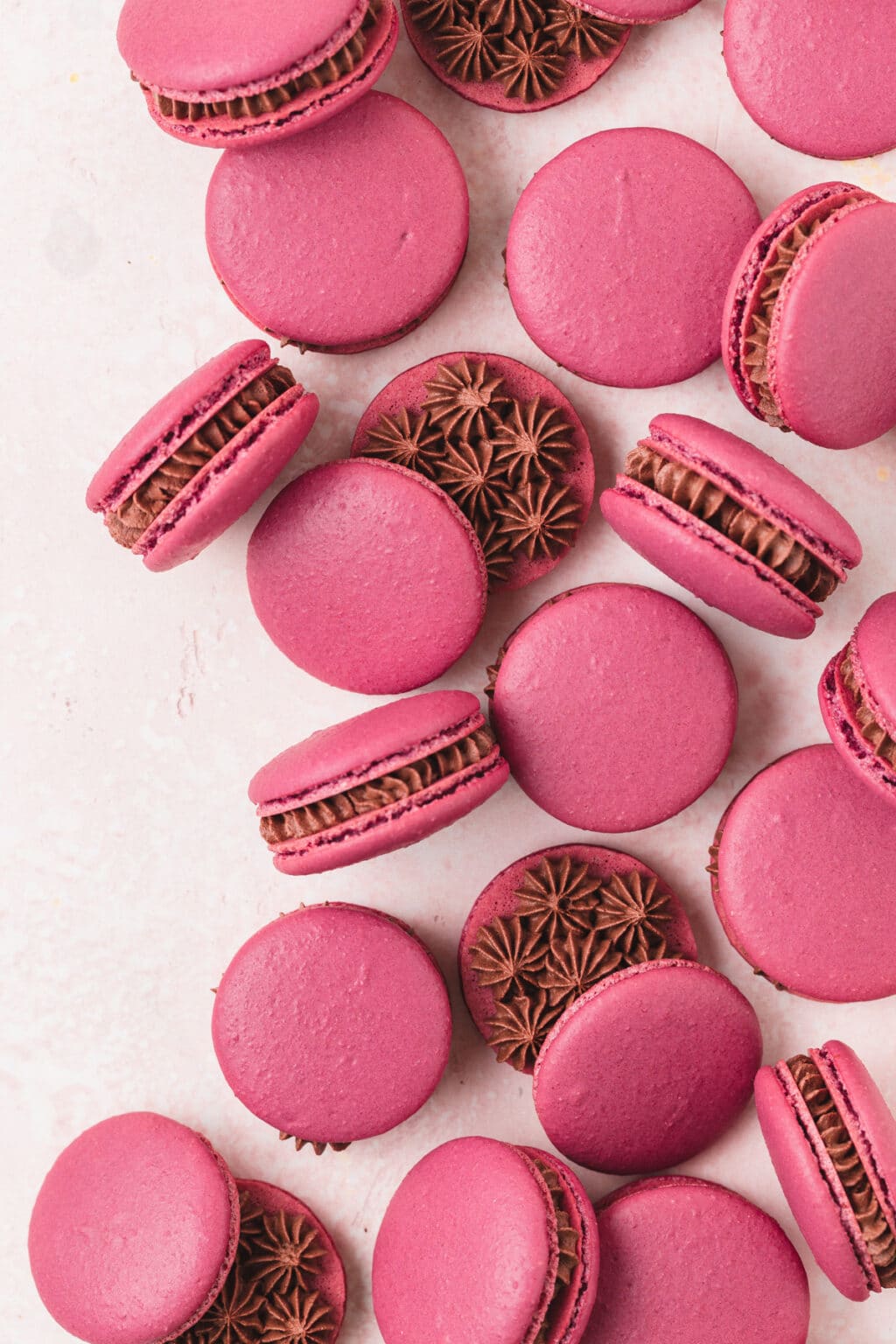 Red Wine Chocolate Macarons ~ Barley & Sage