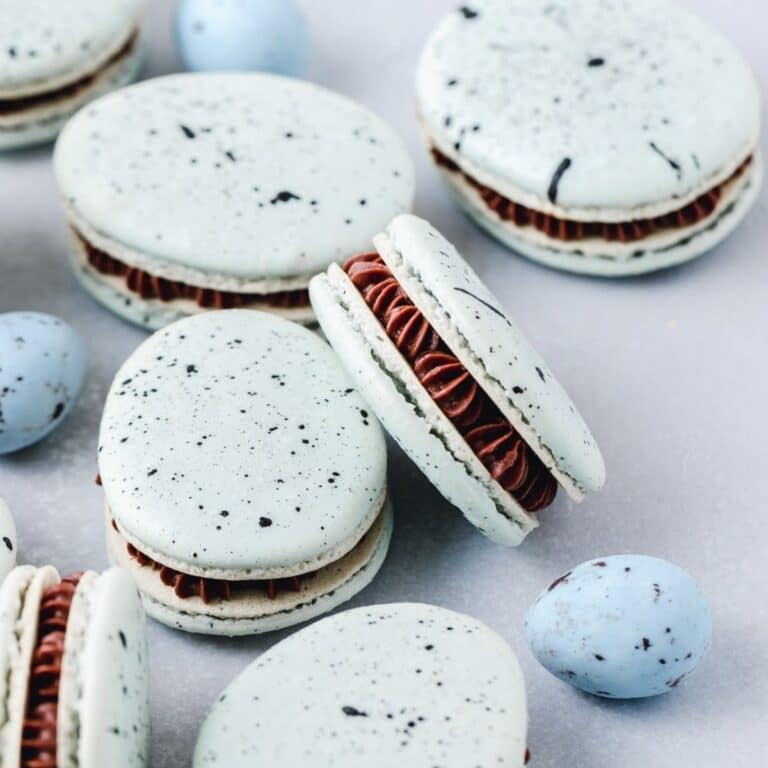 Robin's Egg Macarons with Chocolate Buttercream ~ Barley & Sage