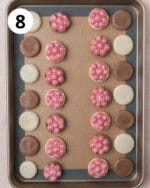 Neapolitan Macarons Recipe ~ Barley & Sage