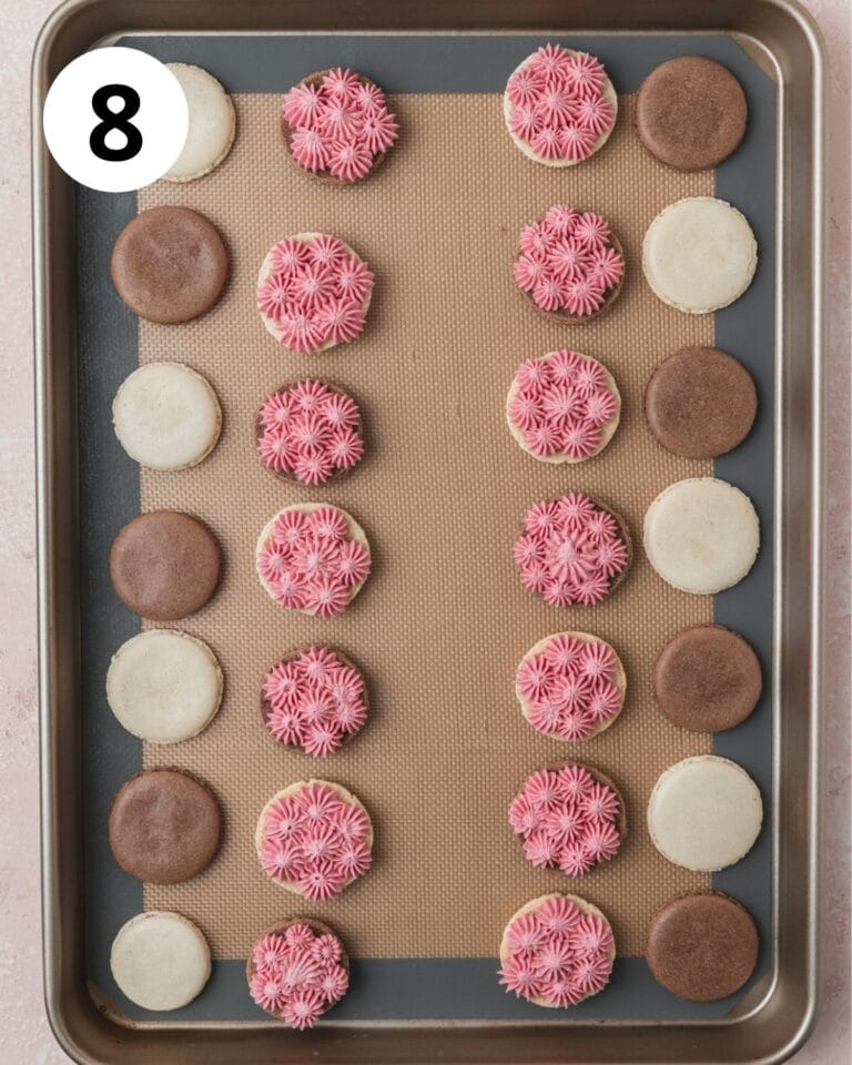 Neapolitan Macarons Recipe ~ Barley & Sage