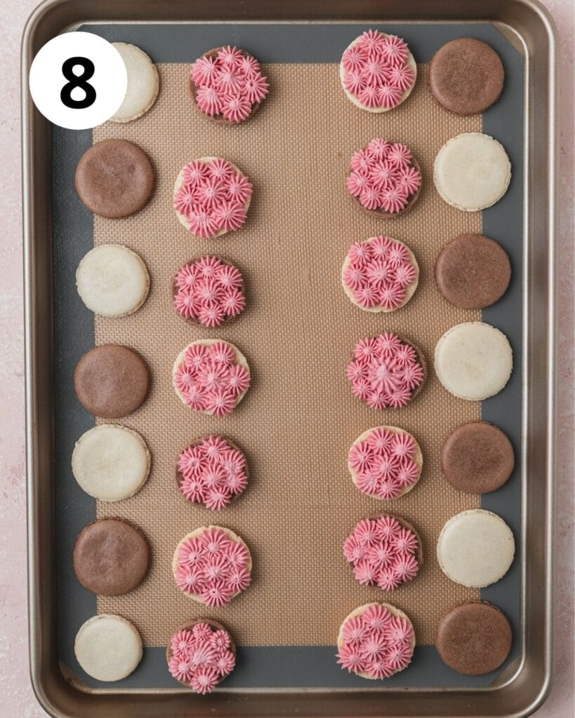 Neapolitan Macarons Recipe ~ Barley & Sage