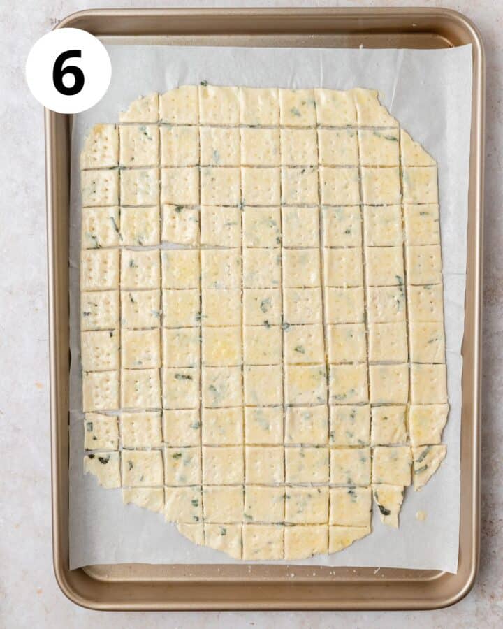 Cheesy Sourdough Discard Crackers Recipe ~ Barley & Sage