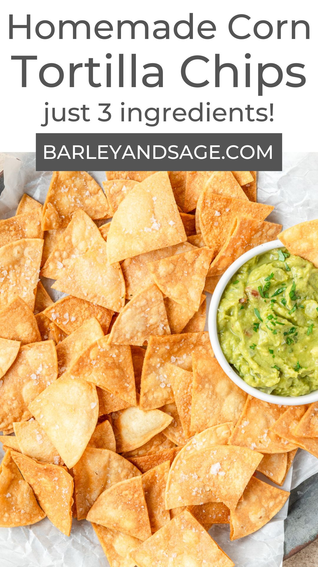 Homemade Corn Tortilla Chips ~ Barley & Sage