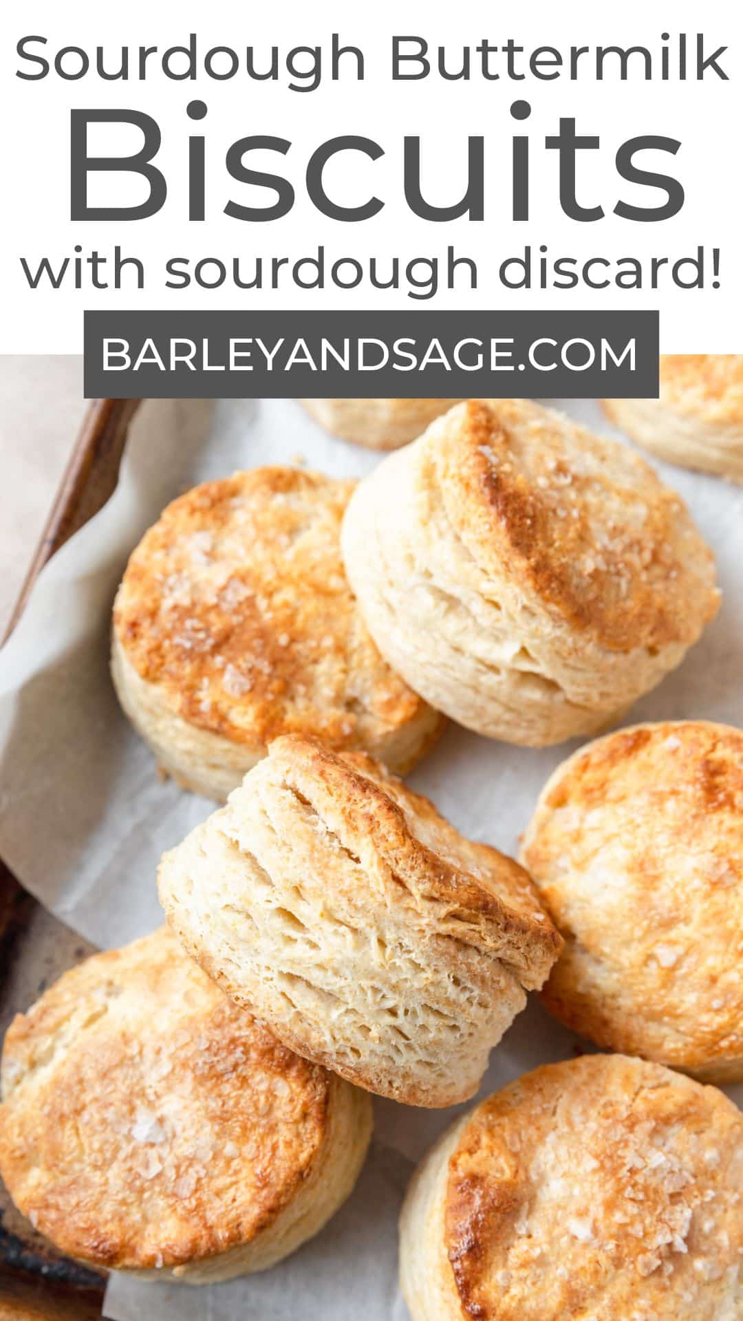 Sourdough Buttermilk Biscuits ~ Barley & Sage