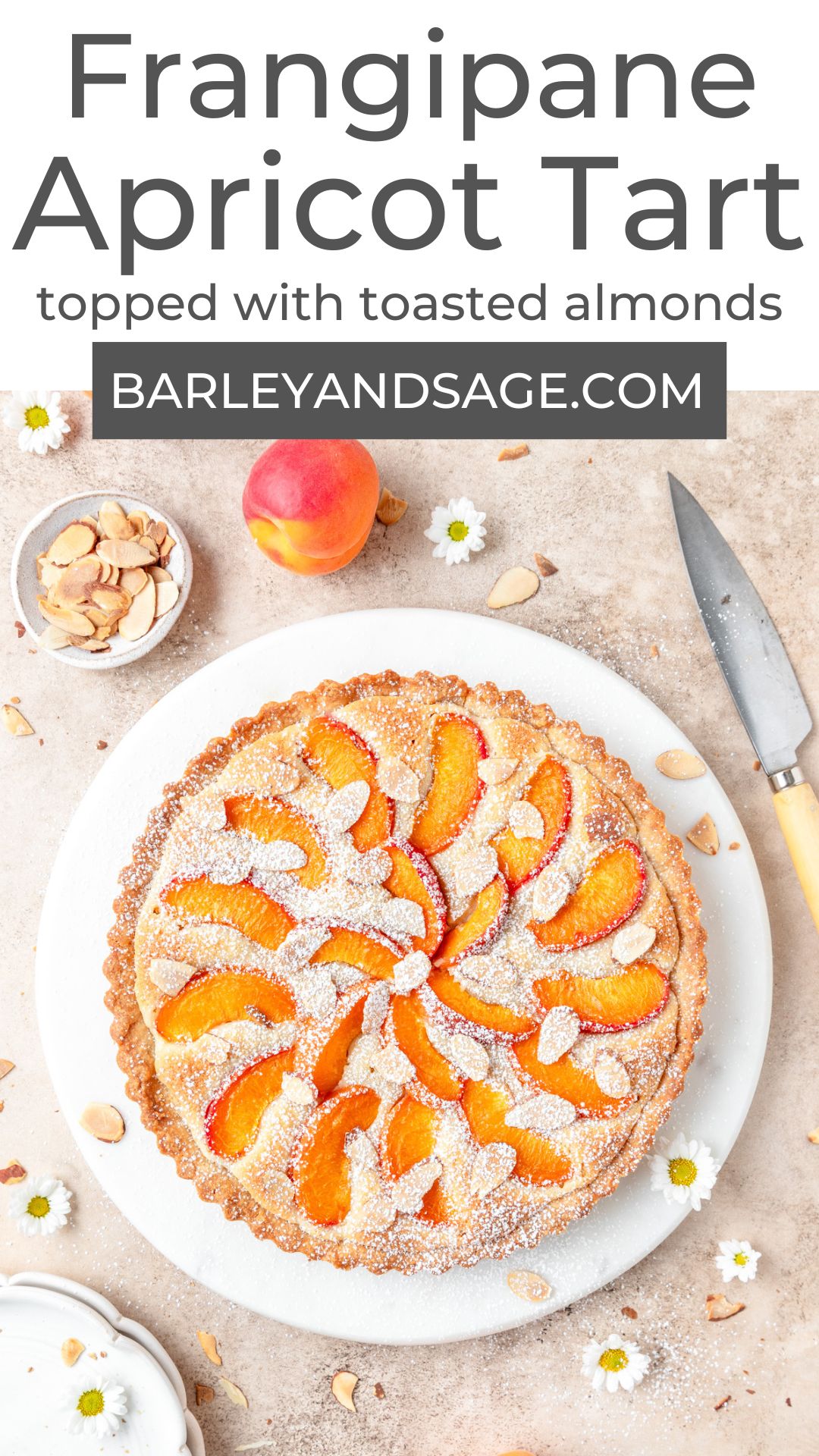 Apricot Tart ~ Barley & Sage