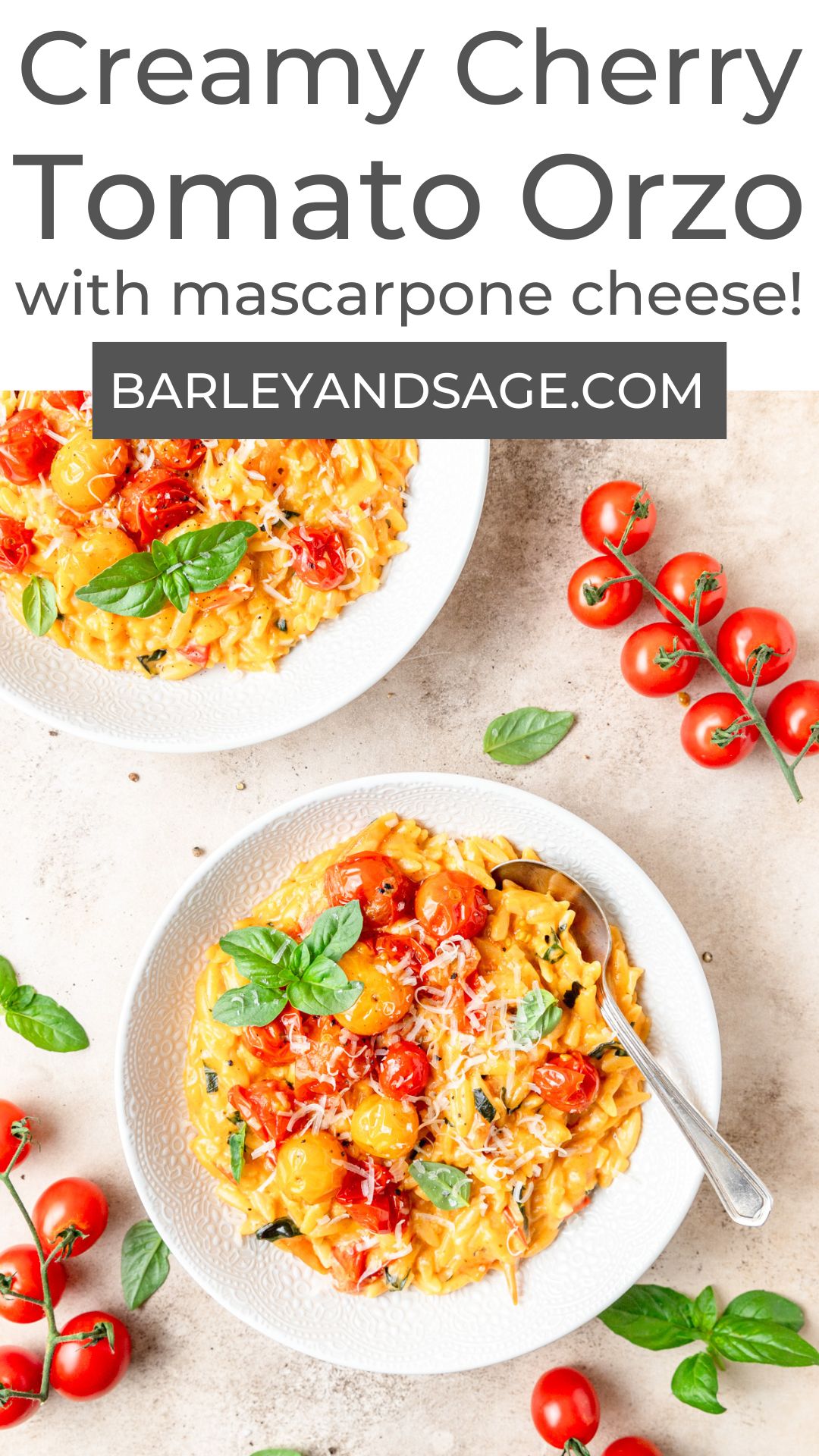 Creamy Tomato Orzo ~ Barley & Sage