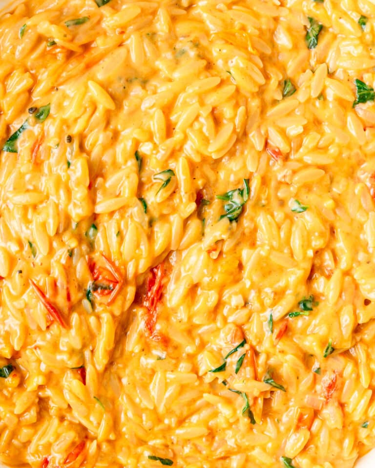 Creamy Tomato Orzo ~ Barley & Sage