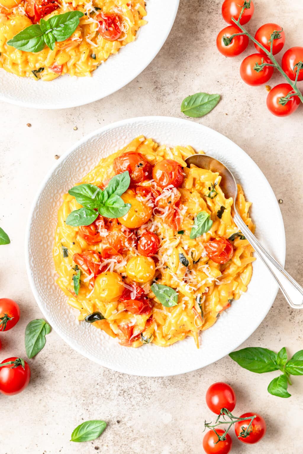 Creamy Tomato Orzo ~ Barley & Sage