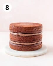 Chocolate Raspberry Layer Cake ~ Barley & Sage